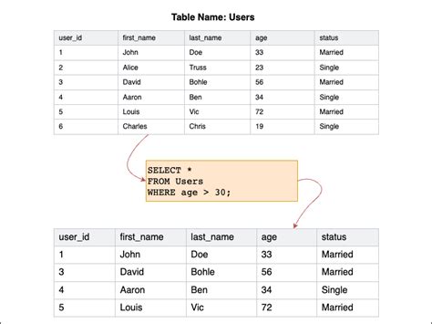 SQL Select Statement And Query Examples