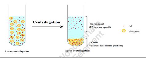 Représentation schématique de la centrifugation Download Scientific