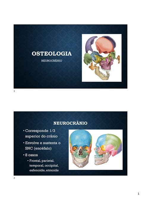 Neurocr Nio Osteologia Neurocr Nio Neurocr Nio Corresponde
