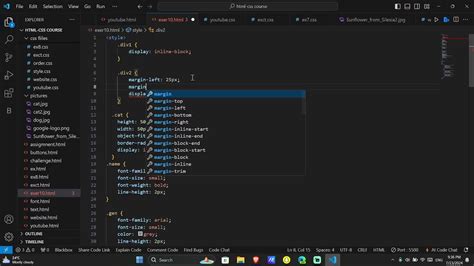 Begineer Level Html And Css Practice In Nepali Nested Layouts