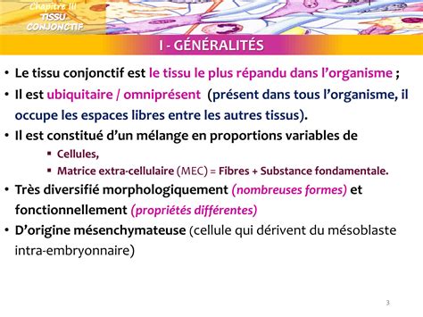 SOLUTION Tissu Conjonctif Histologie Studypool