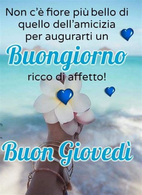 Italian Greetings Italian Quotes Editor Galleria Hail Pinterest
