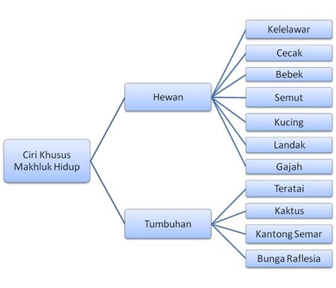 Peta Konsep Bilangan