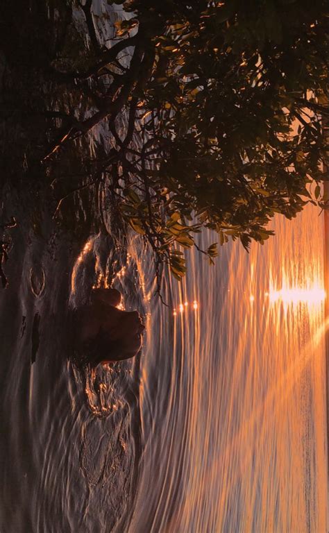 The Sun Shines Brightly Through Some Water