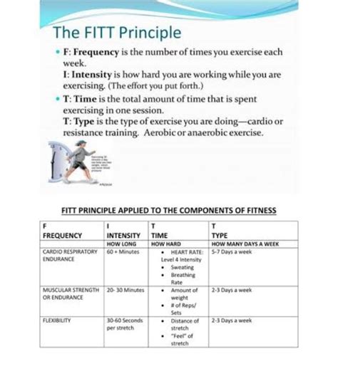 Different Exercises And Indicate Its Corresponding Level Based On