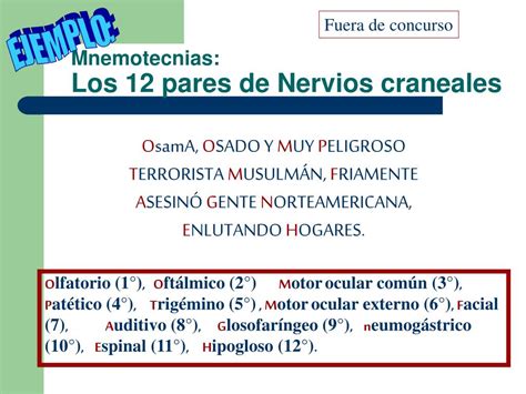 PPT Mnemotecnias Los 12 Pares De Nervios Craneales PowerPoint