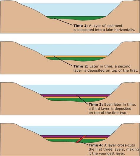 Arriba 43 Imagen How Do Scientists Determine The Age Of A Fossil