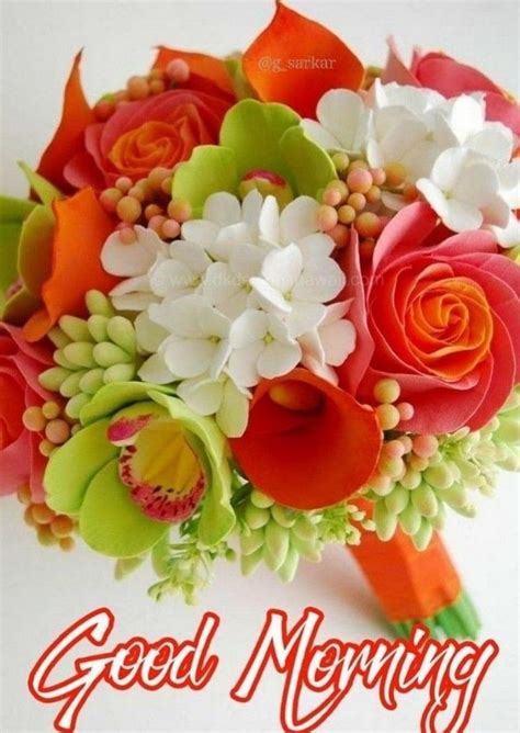 Good Morning Picture Image Hd Rose Flower Infoupdate Org