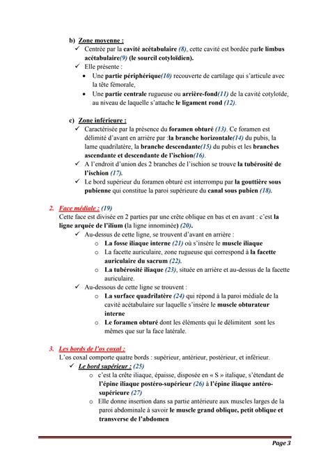 Solution Anatomie Du Membre Inferieur Osteologie Studypool