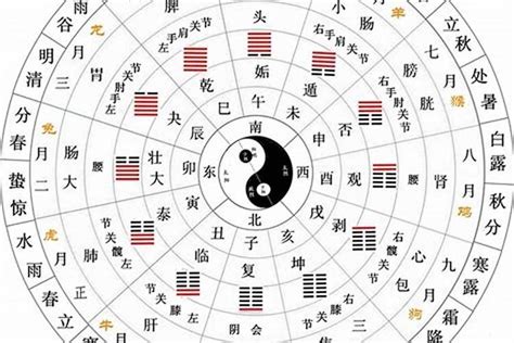 天干地支阴阳五行口诀 风水 若朴堂文化