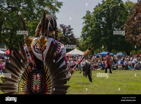 Traditional Pow Wow Dance Festival A Full Day Of Dancing Drumming And