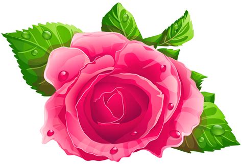 Pin de رغــــــد em cute Rosa cor de rosa Flores rosas Ilustração