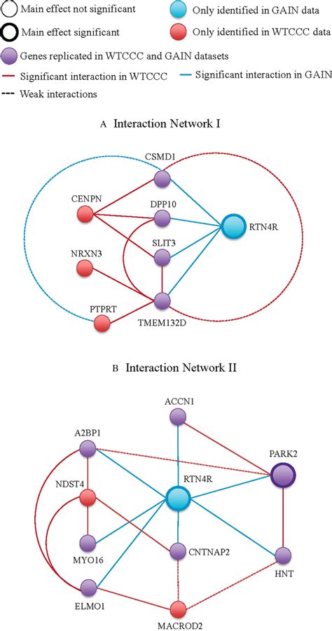 gene gene interaction networks the solid lines represent significant download scientific