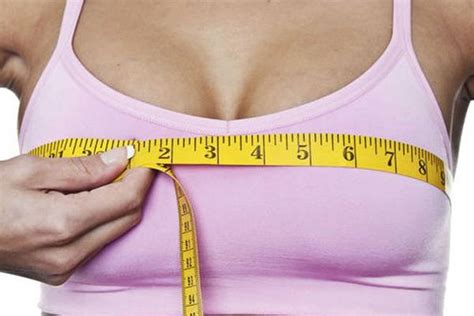 10 datos científicos imprescindibles sobre los senos