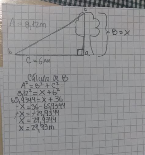 b Calcula la altura de un árbol que a determinada hora del día