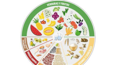 Nuevo Plato Del Bien Comer