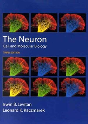 The Neuron Cell And Molecular Biology