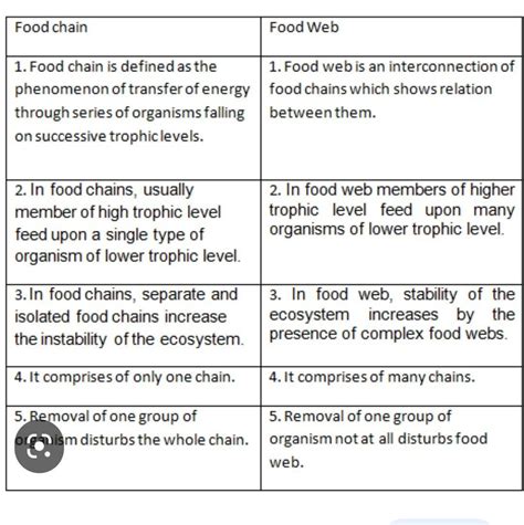 Difference Between Food Chain And Food Web Difference Between