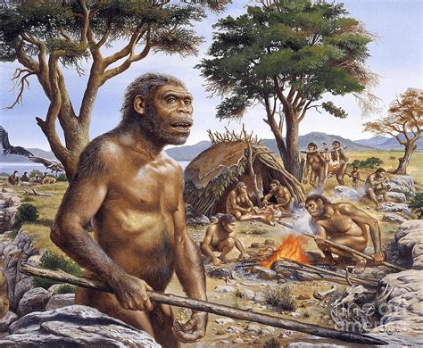 Excavations In Israel Have Sparked Renewed Debate Over Why Homo Erectus