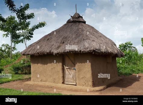 Casas De Pajas Top Sellers Sukan Co In