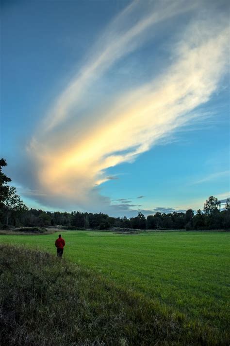 Free Images Landscape Tree Nature Grass Horizon Light Cloud