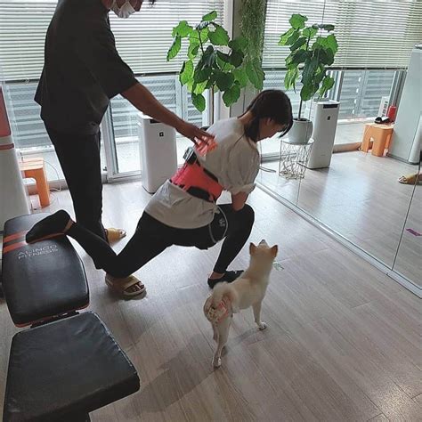 加藤あやのさんのインスタグラム写真 加藤あやのInstagram トレーニングとハイパーナイフ いつもありがとうございます