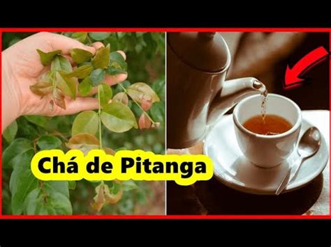Chá da Folha de Pitanga Como Fazer Para que Serve YouTube