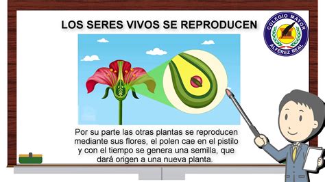 Los Seres Vivos Se Reproducen