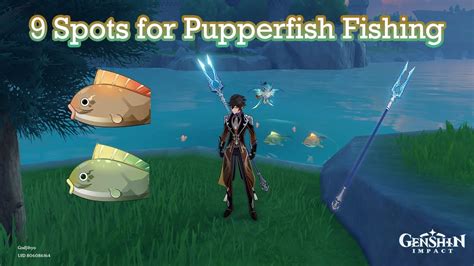 Genshin Impact Pufferfish Fishing Guide YouTube