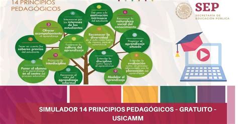 Simulador 14 Principios Pedagogicos Gratuito USICAMM