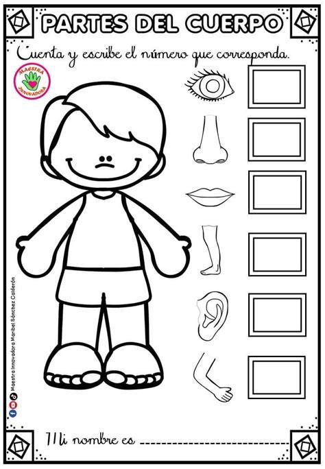 Pin De Mtra Anita En El Cuerpo Humano Partes Del Cuerpo Preescolar