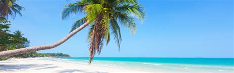 Palmen Strand Meer Tropisch Schatten X Uhd K