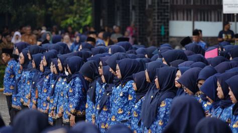 Belum Masuk Daftar Verval Cara Cek Nama Honorer Yang Telah Terdaftar