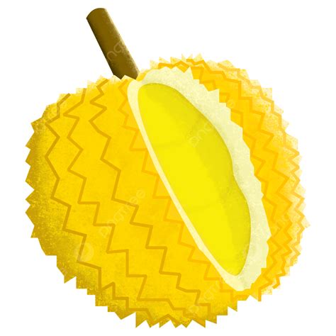 Durian Clipart Vector Yellow Sweet Durian In Hand Drawn Style Durian