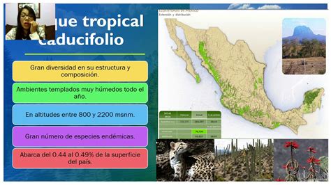 Ecosistemas En Mexico Y Sus Caracteristicas Kulturaupice Hot Sex Picture