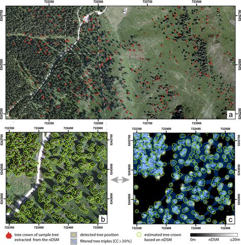 Remote Sensing Free Full Text Forest Delineation Based On Airborne