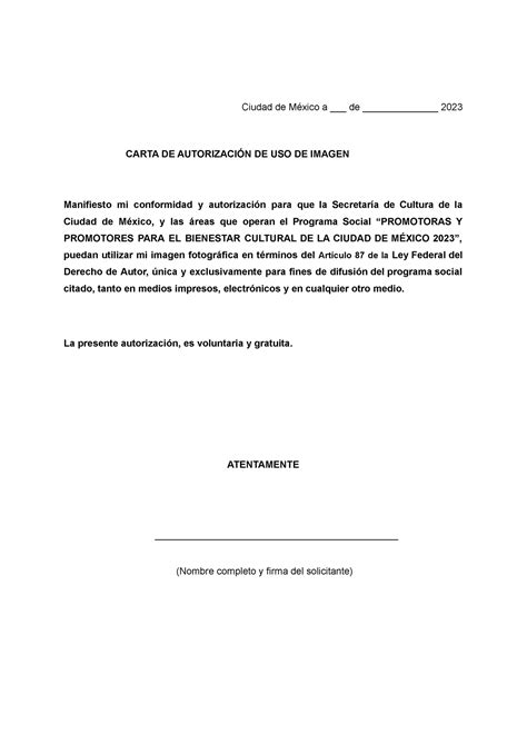 Carta DE Autorización DE USO DE Imagen Promotoras y Promotores Ciudad