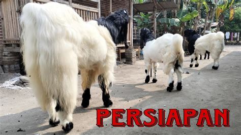 Team Kaki Petung Farm Youtube