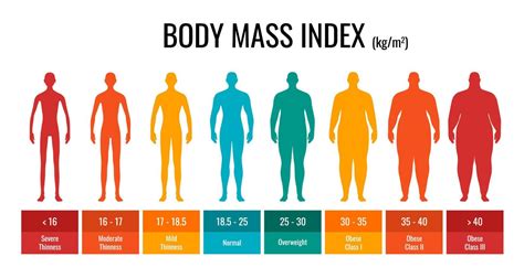 BMI Classification Chart Measurement Man Set Male Body Mass Index