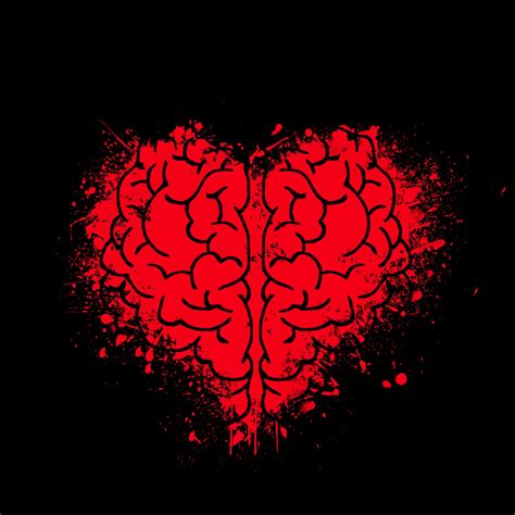 Voici Ce Qui Se Passe Dans Votre Cerveau Lorsque Vous Tombez Amoureux
