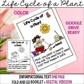 Plants By Fabulous Figs Teachers Pay Teachers