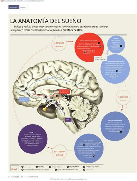 La Anatomía del Sueño Melissa Lima uDocz