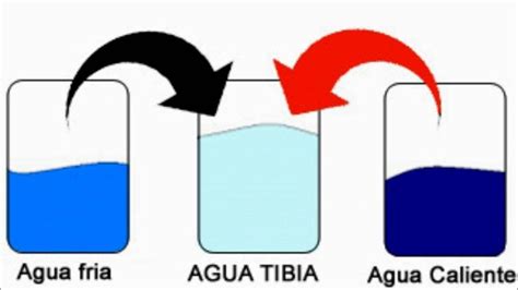 Que Es El Equilibrio Termico Brainly Lat