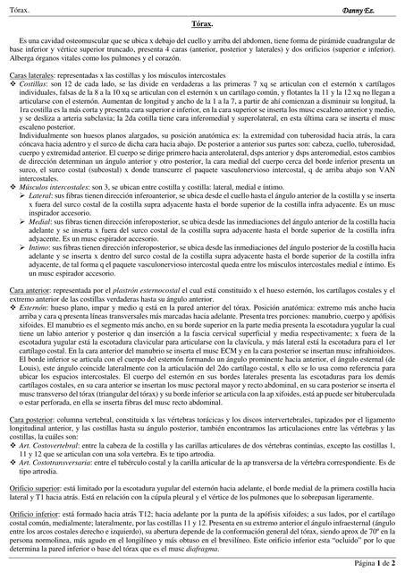 Tórax Costillas Vertebras y Diafragma Resumen YUDOC ORG uDocz