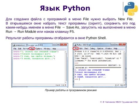 Презентация Основы языка программирования python