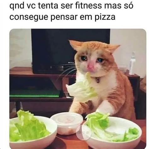 13 Memes engraçados para WhatsApp Zine Cultural
