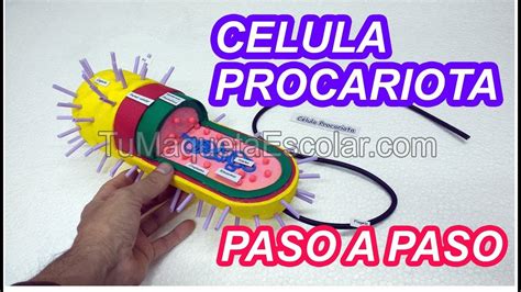 Pin en Vídeo de Maquetas escolares