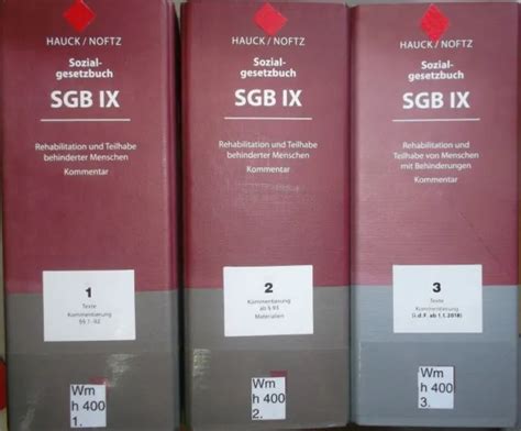 Sozialgesetzbuch Sgb Ix Rehabilitation Und Teilhabe Behinderter