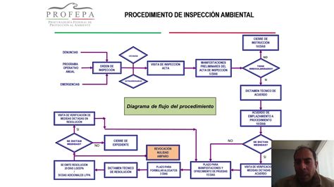 Flujograma Del Procedimiento De Inspeccion Images The Best Porn