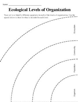 Ecological Levels Of Organization By Hannah Brager TpT